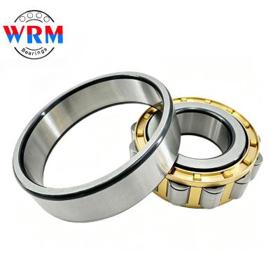 China Meet International Standards Cylindrical Roller Bearing N224EM 120*215*40mm 2224EH Wind Turbine Gearbox Bearing for sale