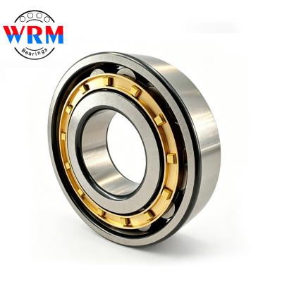 China Low Friction Cylindrical Roller Bearing N234EM 170*310*52mm 2234EH Petroleum Equipment Bearing for sale