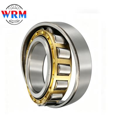 China High Speed Cylindrical Roller Bearing N420EM 100*250*58mm 2420EH Chemical Fiber Equipment Bearing for sale