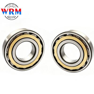 China Strict Quality Inspection Cylindrical Roller Bearing N2236EM 180*320*86mm 2536EH Paper Making Machine Bearing for sale