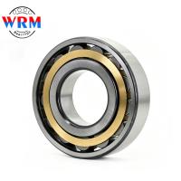 China Professional Cylindrical Roller Bearing NJ320EM 100*215*47mm 42320EH Paper Making Machine Bearing for sale