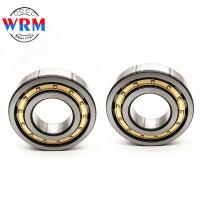 China Professional Cylindrical Roller Bearing NJ420EM 42520EH 100*250*58mm Printing Machinery Bearing for sale