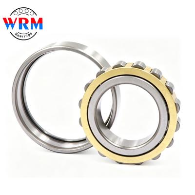 China OEM Standard Production Cylindrical roller bearing NF204EM 20*47*14mm 12204EH Compressor Industry for sale