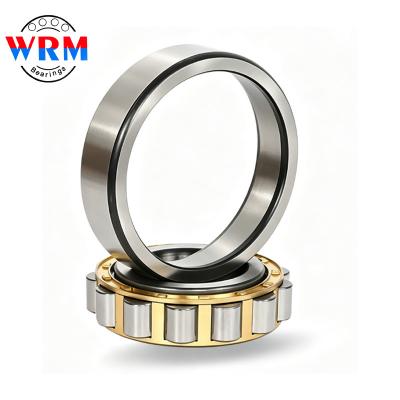China Precious Machined Cylindrical roller bearing NF2215EM 75*130*31mm 12515EH Cement Equipment Industry for sale