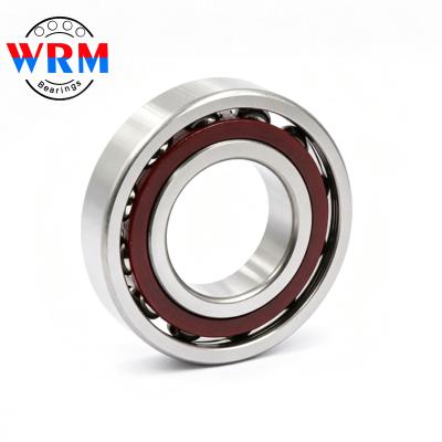 China Hot Selling Angular Contact Ball Bearing 7036AC 46136 180*280*46mm Water Pump Bearing for sale