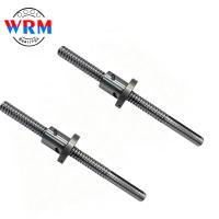 China Precious Machined Ball Screw SFI02504-4 Machine tool processing for sale