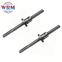 China OEM Standard Production Ball Screw SFI0255T-4 Industrial Automation for sale