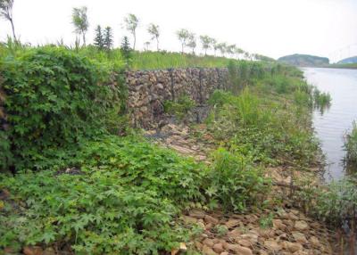 China 3.0mm Hot Dip Galvanized Gabion Boxes 2-6m³ Volume with PVC Coating for Lake Shore Protection for sale