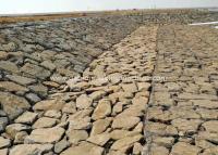 China Professional Gabion Box 100x120mm Mesh Size Hot-Dip Galvanized for Steep Slope Lining 2-4m Length for sale