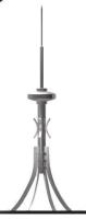 China Stainless Steel Lightning Grounding Rod for sale