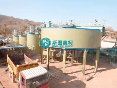 China 30TPD-100TPD GOLD CIL Plant CIP Gold Processing Plant Customized for sale