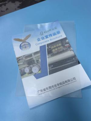 China 21g Waxed Paper Medium Light Weight for Hamburger Wraps and Sandwich Bags for sale