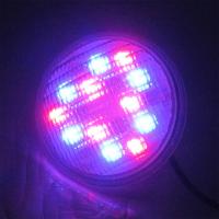 China Underwater Lighting Glass 60W LED PAR56 Bulb for sale