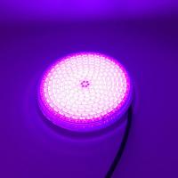 China Switch On Off 1620lm AC12V Resin Filled Pool Light for sale