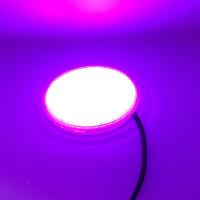 China Piscina 50000h 42.3mm Resin Filled Pool Light for sale