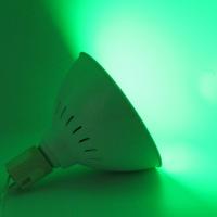 China Inground Pool E26 3325lm Pentair Color Pool Light for sale