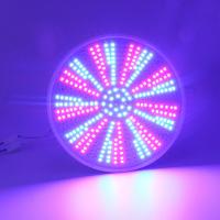 China Inground Pool E26 3325lm Pentair Color Pool Light for sale
