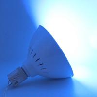 China Remote Control 12V E27 Pentair Hayward Light Fixture for sale