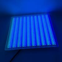 China Colorful RGB Square 10W Pool Flood Lights for sale