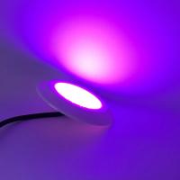 China 12W Warm White 2700K Pool Spot Light For Jacuzzi for sale