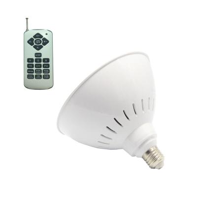 China Single Color Warm White 2700K 0.7kg Swimming Pool Bulb for sale