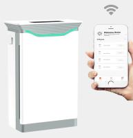 China HOMEFISH Negative Ion Air Purifier with UVC Sterilization 410m³/h CADR HEPA H13 Filter 220V Smart WiFi Control for sale
