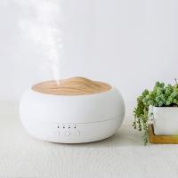 China HOMEFISH OEM 250ml Ultrasonic Aroma Diffuser with Essential Oil Humidifier - 168×168×96mm Compact Design for sale