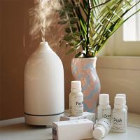 China HOMEFISH 100ml Ceramic Ultrasonic Aroma Diffuser Essential Oil Diffuser 12W Quiet Cool Mist Humidifier for sale
