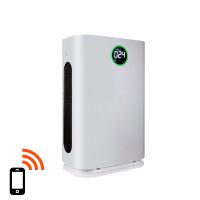 China Homefish OEM UVC Air Purifier with Humidifier WiFi 510m3/h 50-80m2 for sale