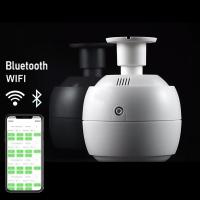 China 250ml Ceiling Essential Oil Diffuser Machine Bluetooth WiFi Smart Scent Diffuser for Hotel 12V 6W for sale