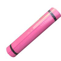 China Weight Lose Yoga Pilates Mat Waterproof / Moisture Proof Fitness Folding Gymnastics Mat for sale