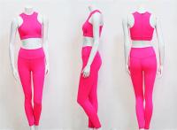 China 2 Piece Yoga Sets Clothing , Womens Fitness For Clothing Gym Exercise for sale