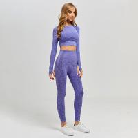 China Seamless Women's Yoga Apparel Gym Fitness Clothing , Women Long Sleeve Yoga Activewear for sale