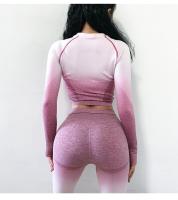 China Ombre Seamless Women's Yoga Apparel / Women Gym Clothing Gradient Leggings+Long sleeve Top for sale