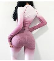 China Ombre Seamless Women's Yoga Apparel / Women Gym Clothing Gradient Leggings+Long sleeve Top for sale
