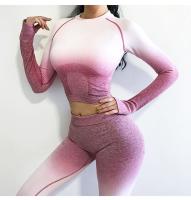 China Ombre Seamless Women's Yoga Apparel / Women Gym Clothing Gradient Leggings+Long sleeve Top for sale