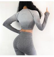 China Ombre Seamless Women's Yoga Apparel / Women Gym Clothing Gradient Leggings+Long sleeve Top for sale