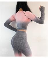 China Ombre Seamless Women's Yoga Apparel / Women Gym Clothing Gradient Leggings+Long sleeve Top for sale