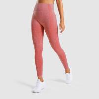 China Breathable Gym Yoga Pants High Waisted Seamless Gym Leggings For Women Fitness / Running for sale