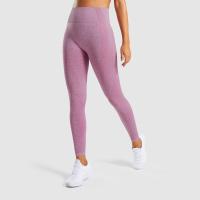 China Breathable Gym Yoga Pants High Waisted Seamless Gym Leggings For Women Fitness / Running for sale