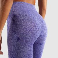 China Breathable Gym Yoga Pants High Waisted Seamless Gym Leggings For Women Fitness / Running for sale