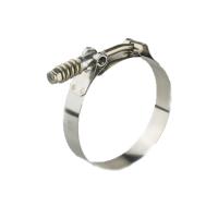 China t bolt spring load clamp for sale