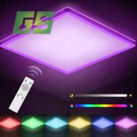 China Multi Color Custom Living Room  Color Indoor Decorate LED Light  Panel With Acrylic Materical DC12 V for sale
