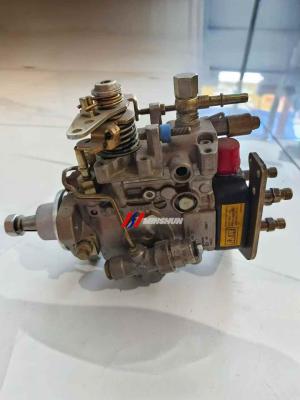 China Perkins 1104C Diesel Pump Assembly, 0460424255 High-Precision Fuel Injection for sale