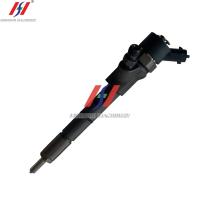 China RM6271-11-3100 Diesel Fuel Injector | High-Precision Fuel Injection Components for sale