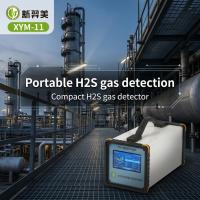 China Handheld Portable H2S Gas Detector for Hydrogen Sulfide Odor Monitoring for sale