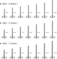 China G23 Titanium Screwless Barbell Earrings 20g/16g/18G Are Suitable For Lip Nails, Nasal Screen, Ear Concha, Ear Wheel, Cartilage, Earlobe, Medusa for sale