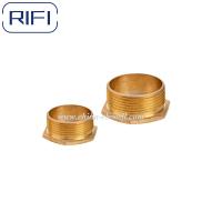 China RIFI Male Short Brass Bush GI Conduit Fittings In 20mm 25mm And 32mm for sale