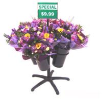 China 6 Bouquets Metal Floor Display Stand In Flower Shop for sale