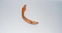 China Tumbled Finish Gold Jewelry Components , Reach Passivation Silver Jewelry Parts for sale
